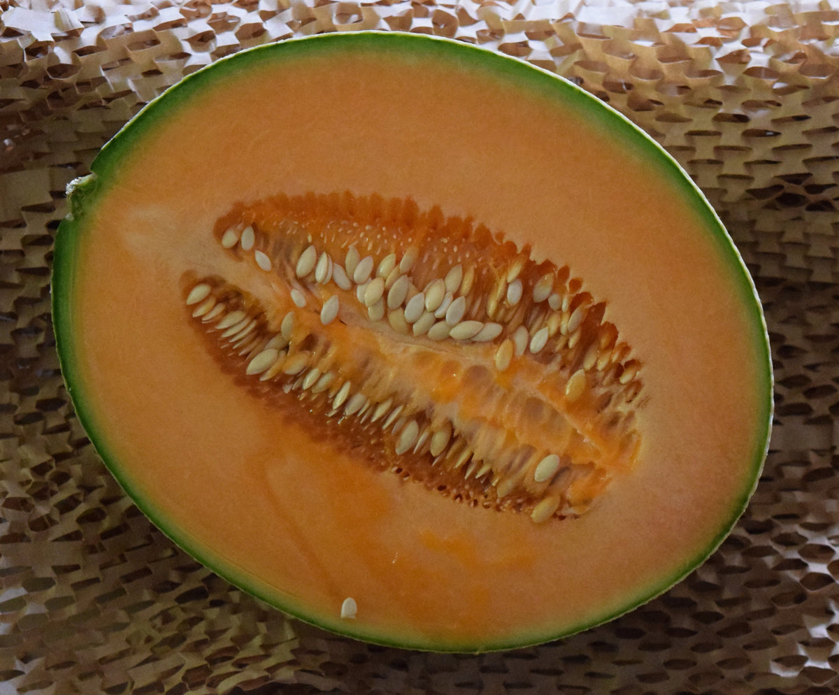 Rockmelon - Whole – Bailey's Fresh Food