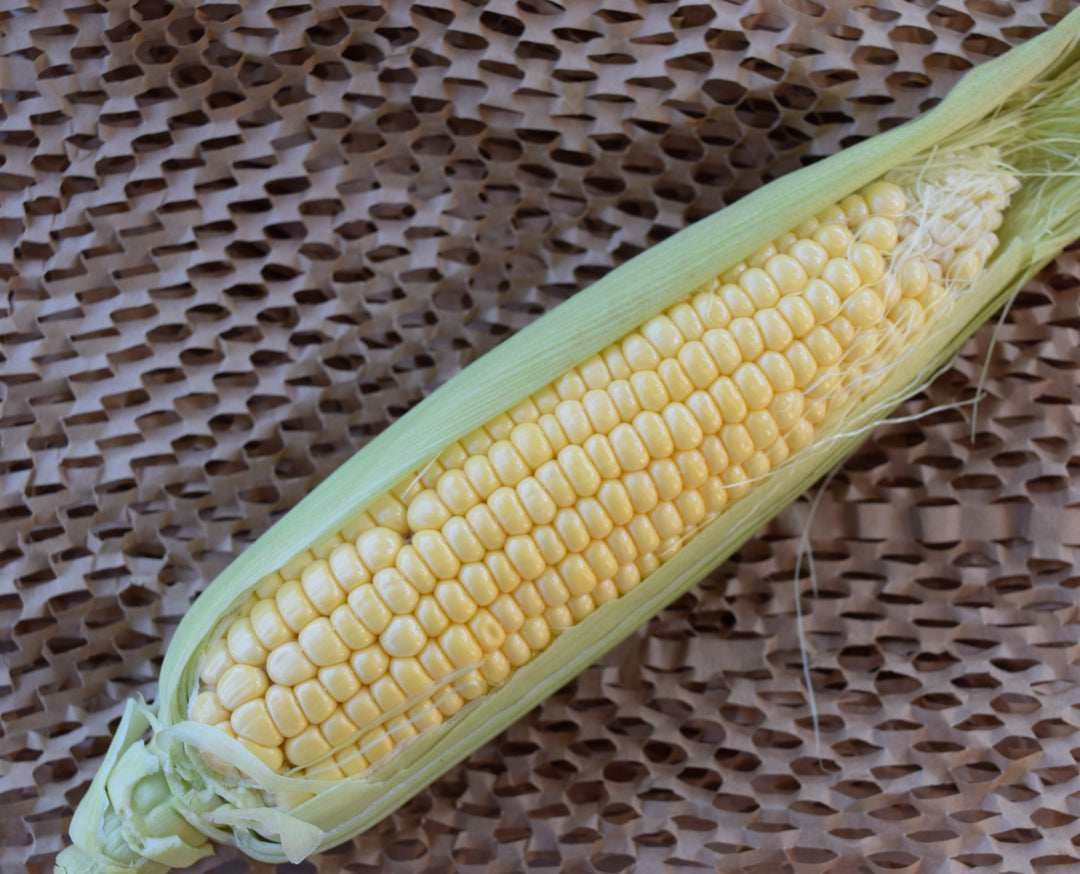 Corn - Sweet - Each – Bailey's Fresh Food