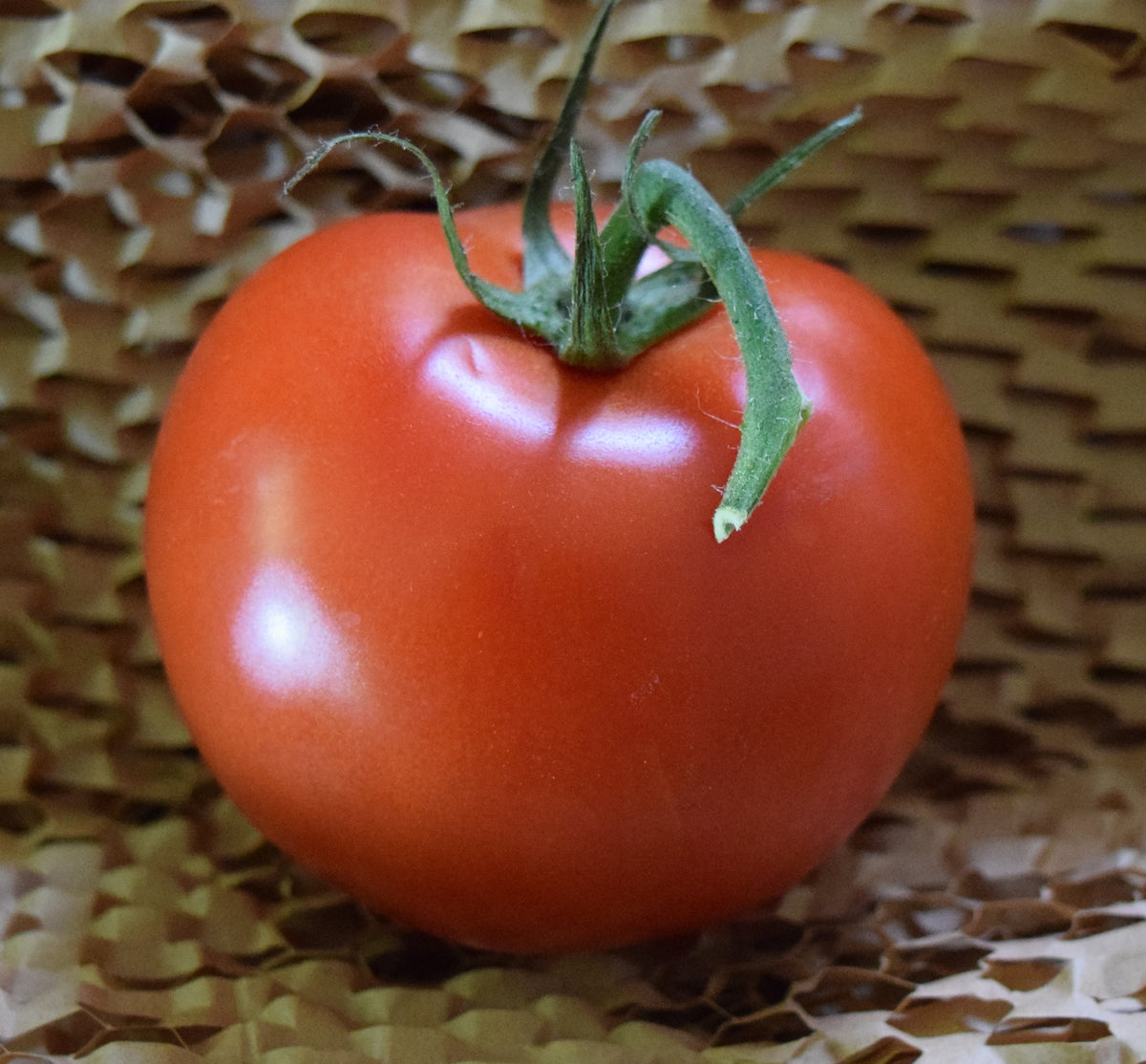 Tomato - Truss - Each – Bailey's Fresh Food